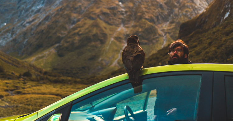 Protecting Your Ride | State Insurance