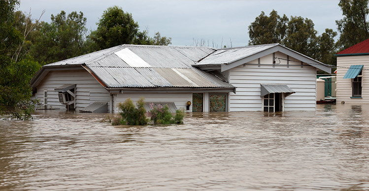 State Wild Weather Tracker - Issue 1 | State Insurance